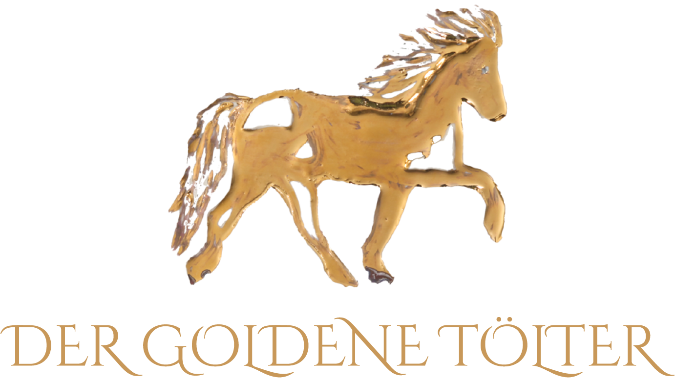 Der goldene Tölter | Islandpferdehof Brunnenberg